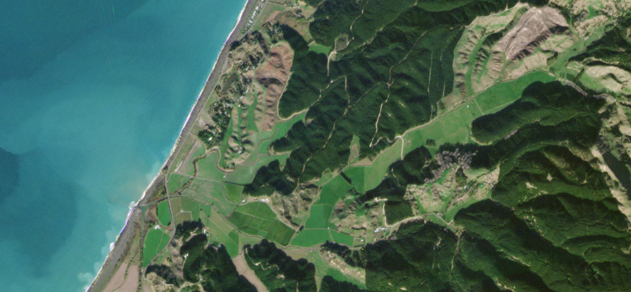 Planet | ArcGIS Pro Add-in